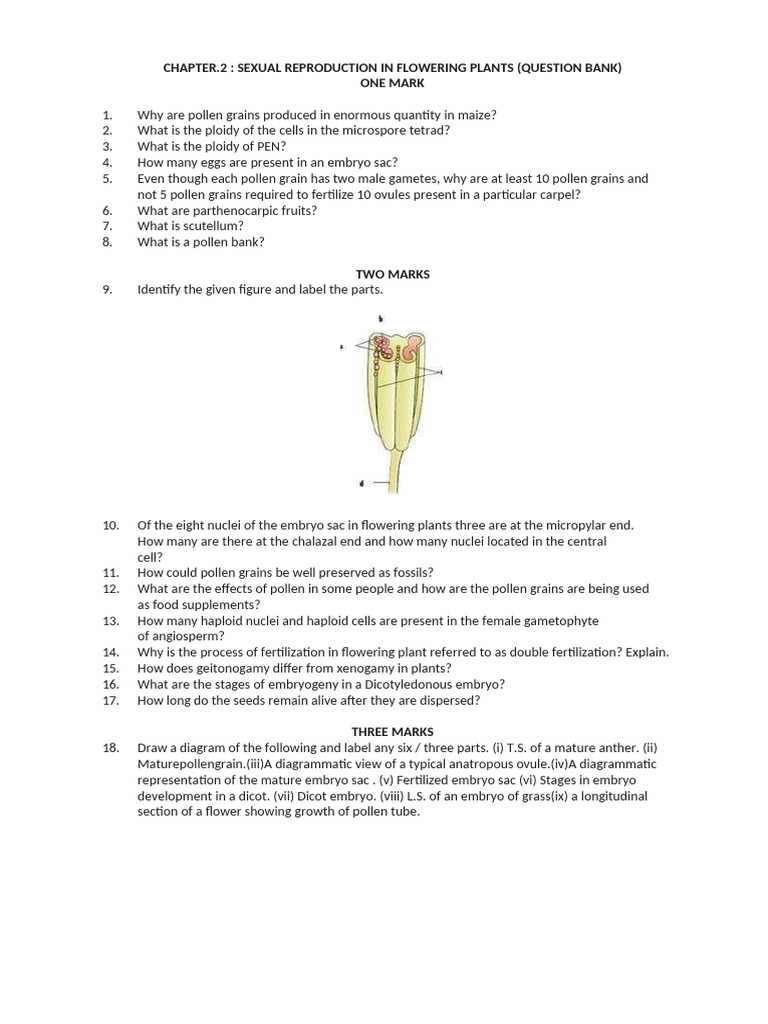 SEXUAL REPRODUCTION IN PLANTS Q&A DIAGRAMS | PDF