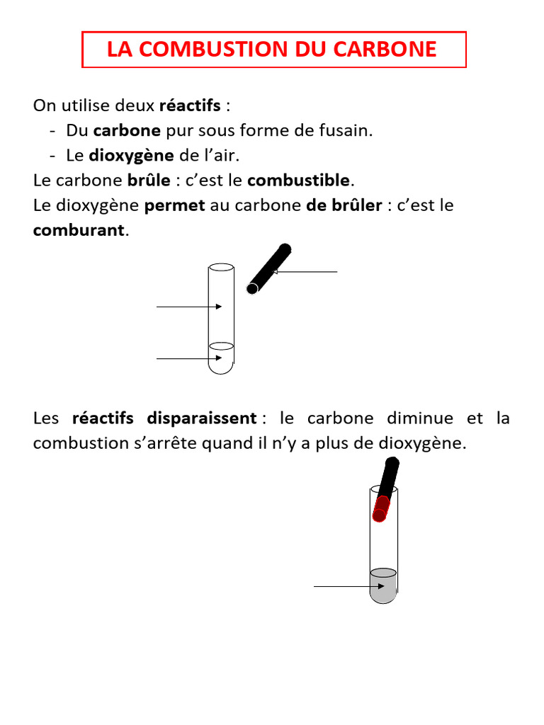 Combustion Du Carbone Et Du Soufre | PDF