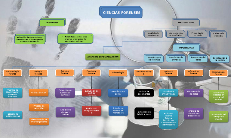 Ciencias Forenses: Metodología y Áreas Especializadas | PDF | Jurisprudencia médica | Ciencia ...