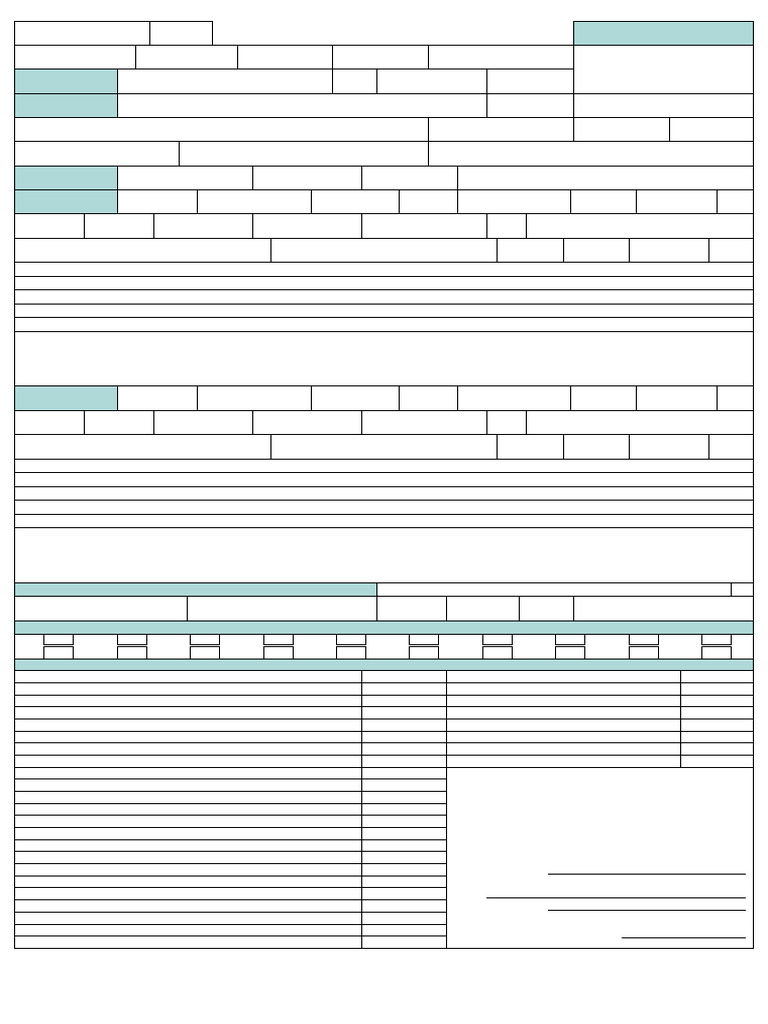 Formato B Declaracion Aduanera de Mercancias | PDF