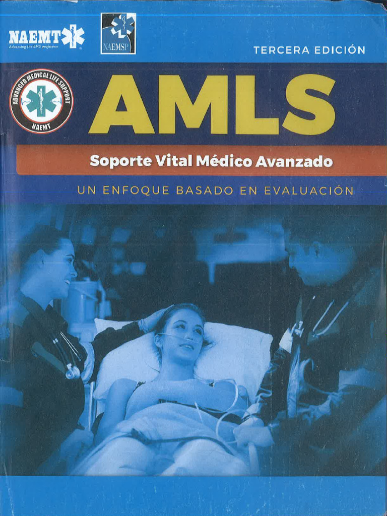 AMLS | PDF
