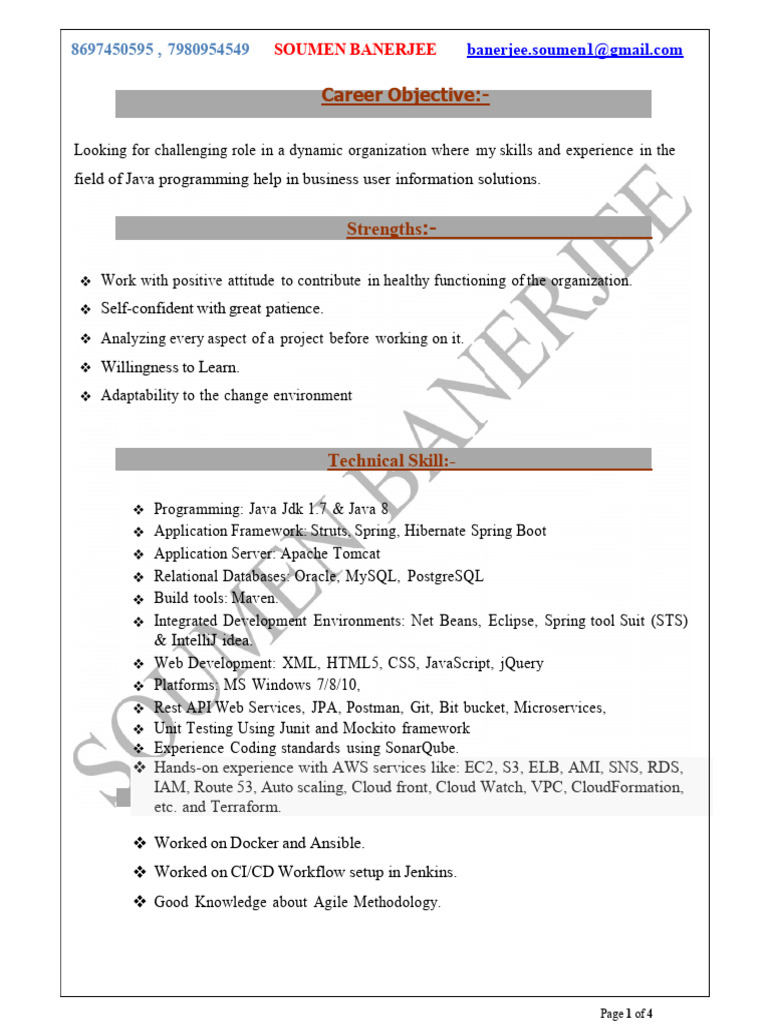 Soumen Banerjee CV | PDF