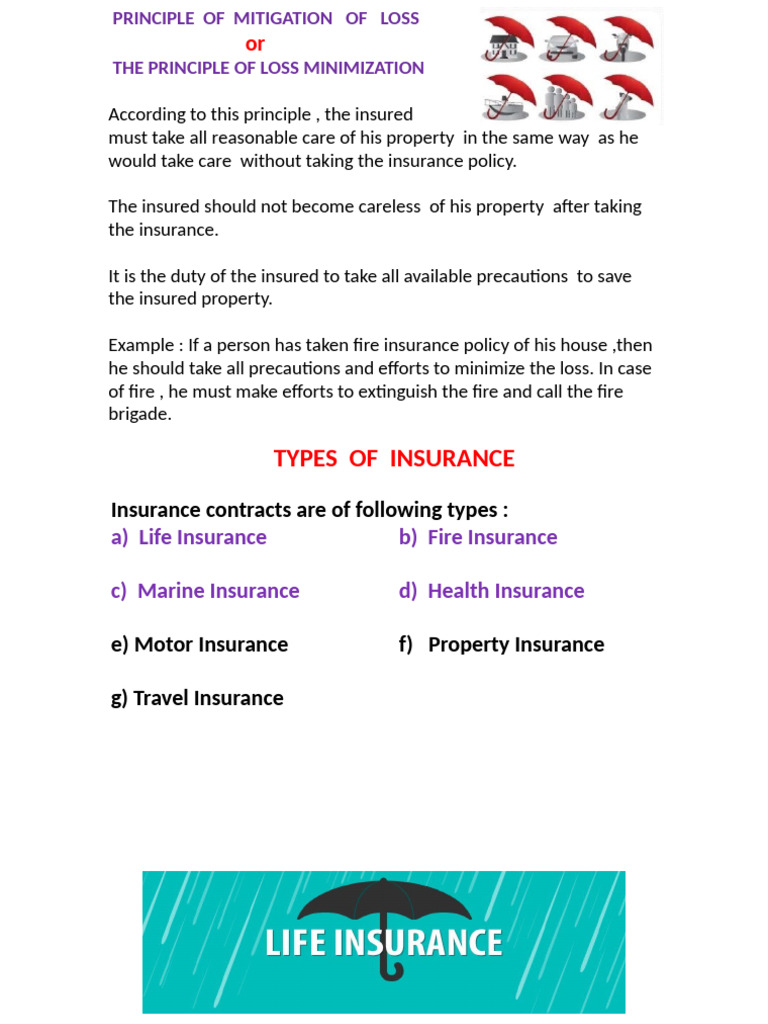 Notes Ch 4 Bst Class Xi Pdf