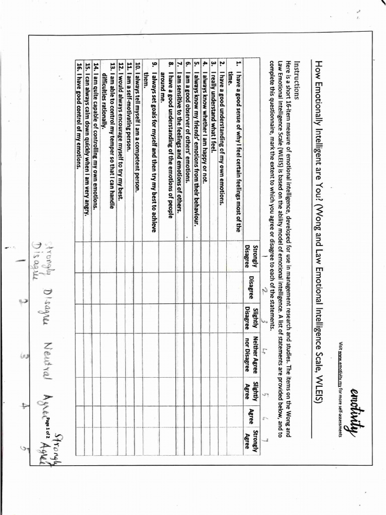 Wong and Law Emotional Intelligence Scale | PDF
