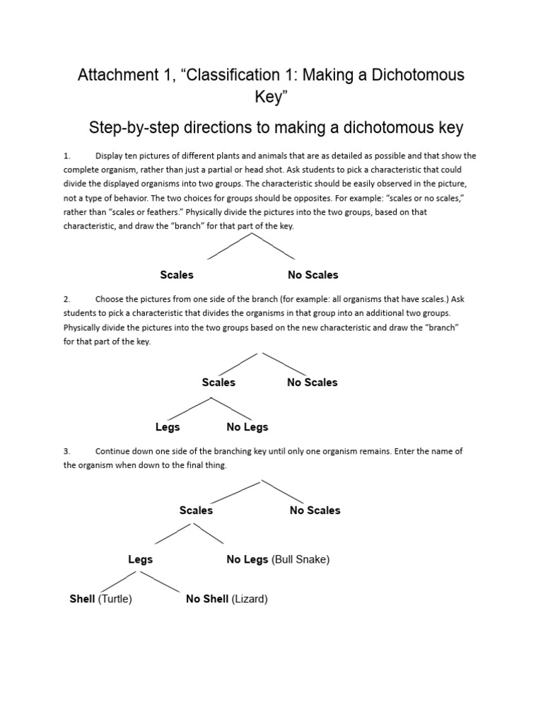 Making A Dichotomous Key Instructions | PDF