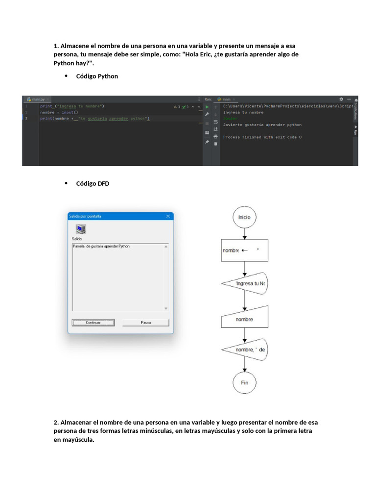 Ejercicios Básicos de Python y DFD | PDF | Informática