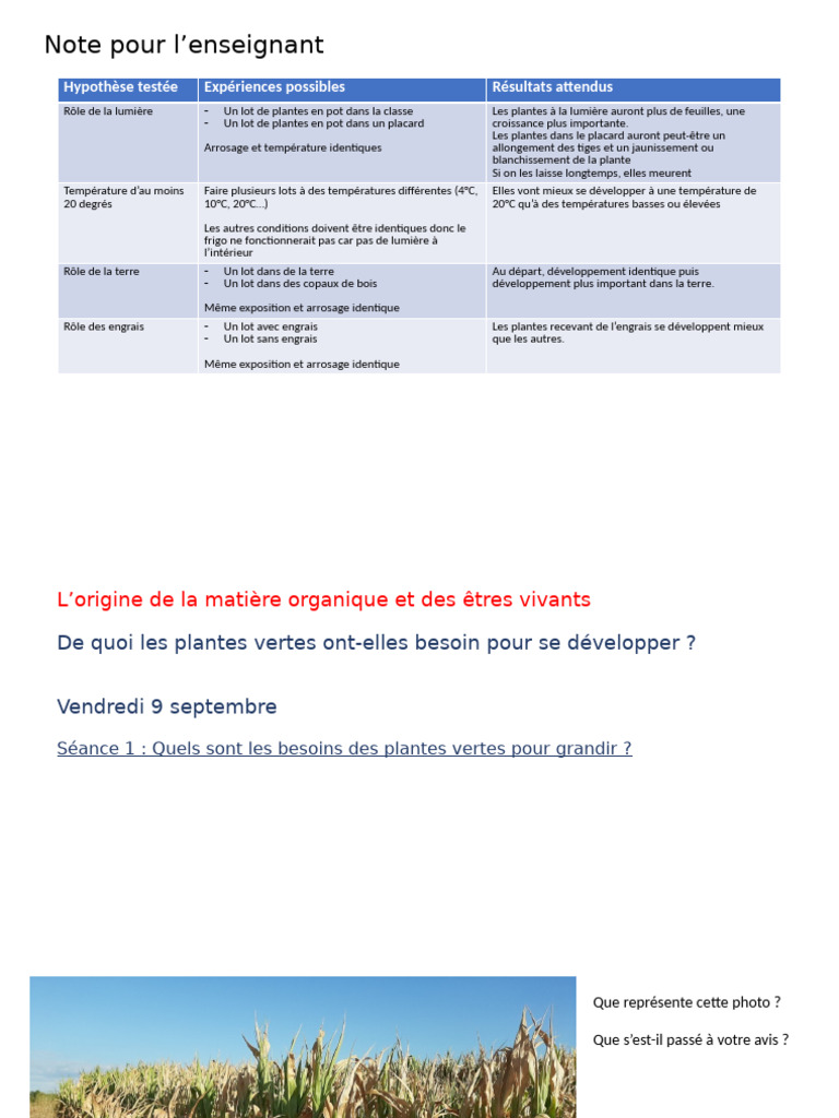 Les Besoins Des Plantes Vertes | PDF | Plantes | Maison et jardin