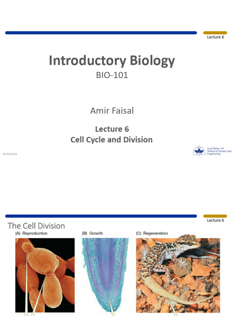 Lecture 6 | PDF