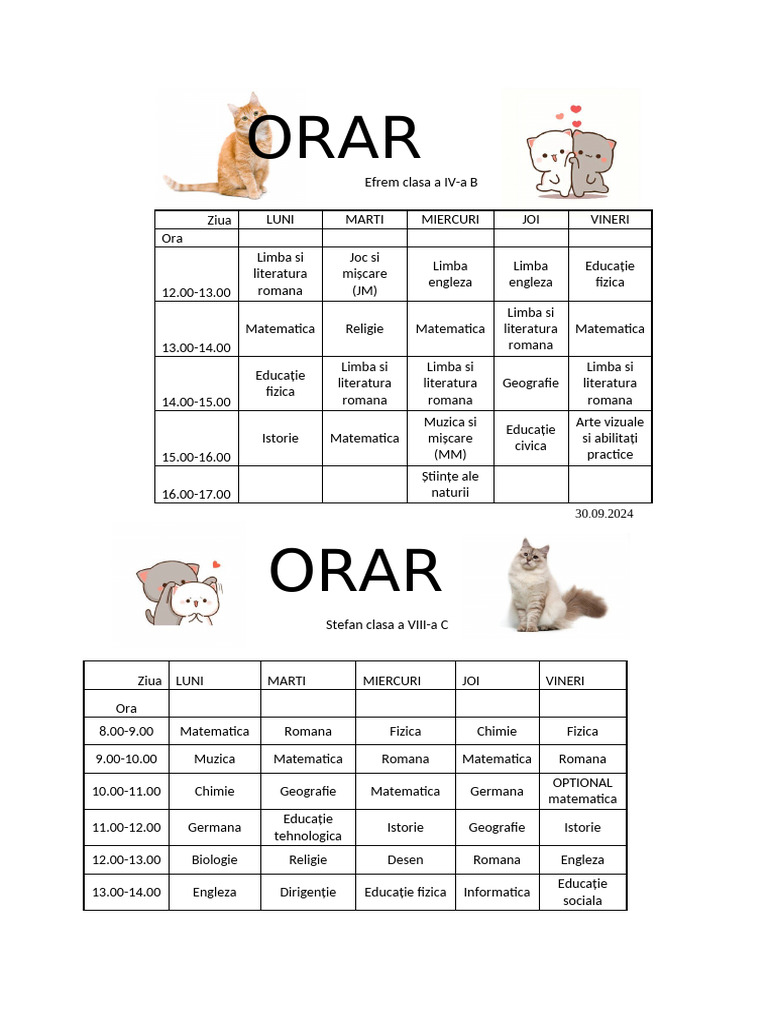 Orar Template | PDF