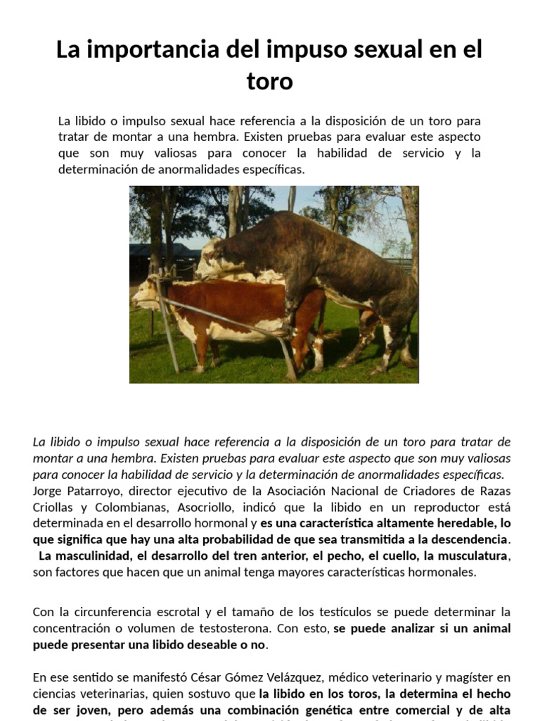 La Importancia Del Impuso Sexual en El Toro | PDF