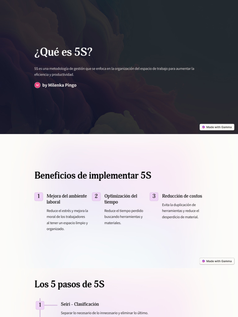 Que Es 5S | PDF
