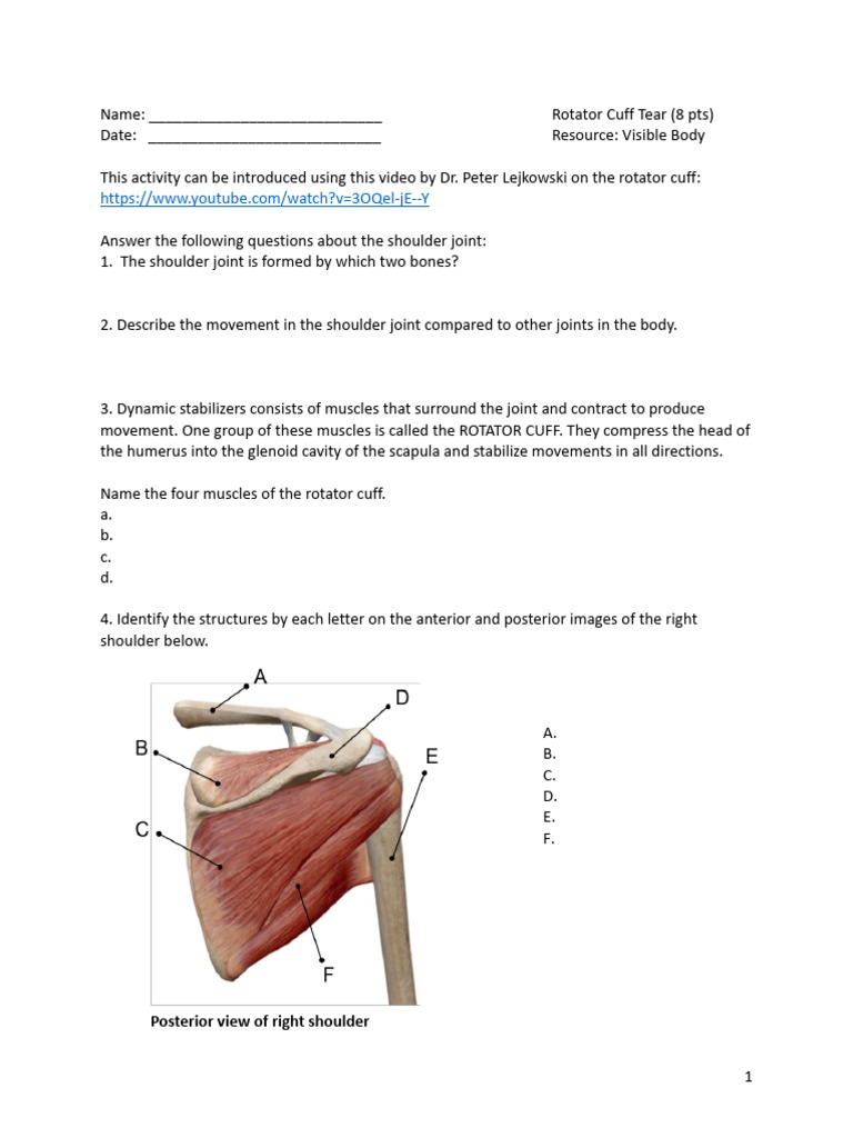 Rotator Cuff Tear Homework | PDF