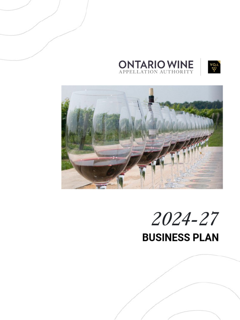 2024-27-Business-Plan | PDF