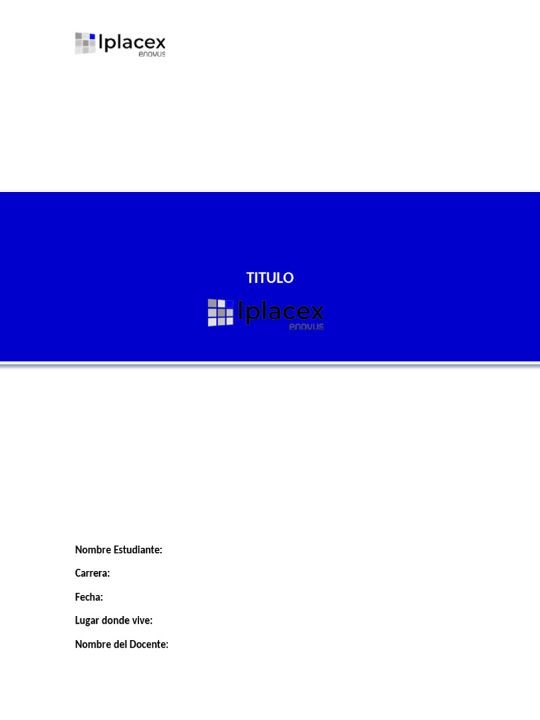 Anexo Formato Informe+2+ | PDF