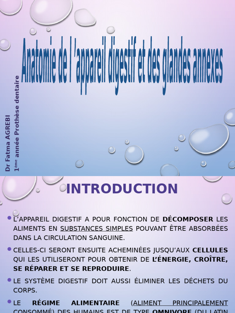 1 - Appareil Digestif | PDF