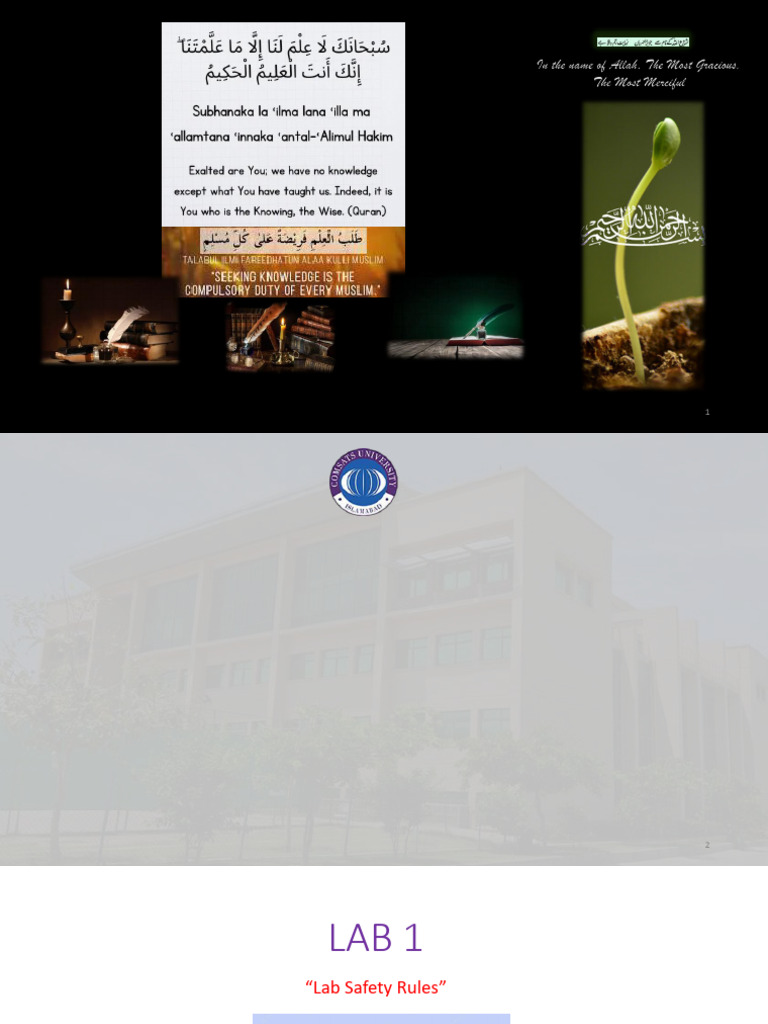 Biology Lab Manual | PDF