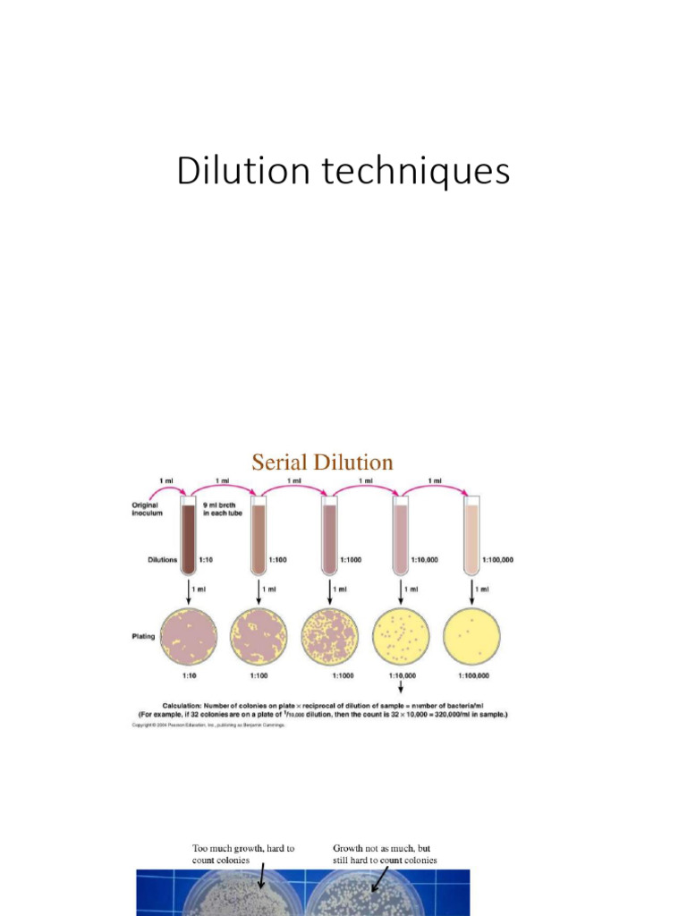 Dilution Factors MLT | PDF