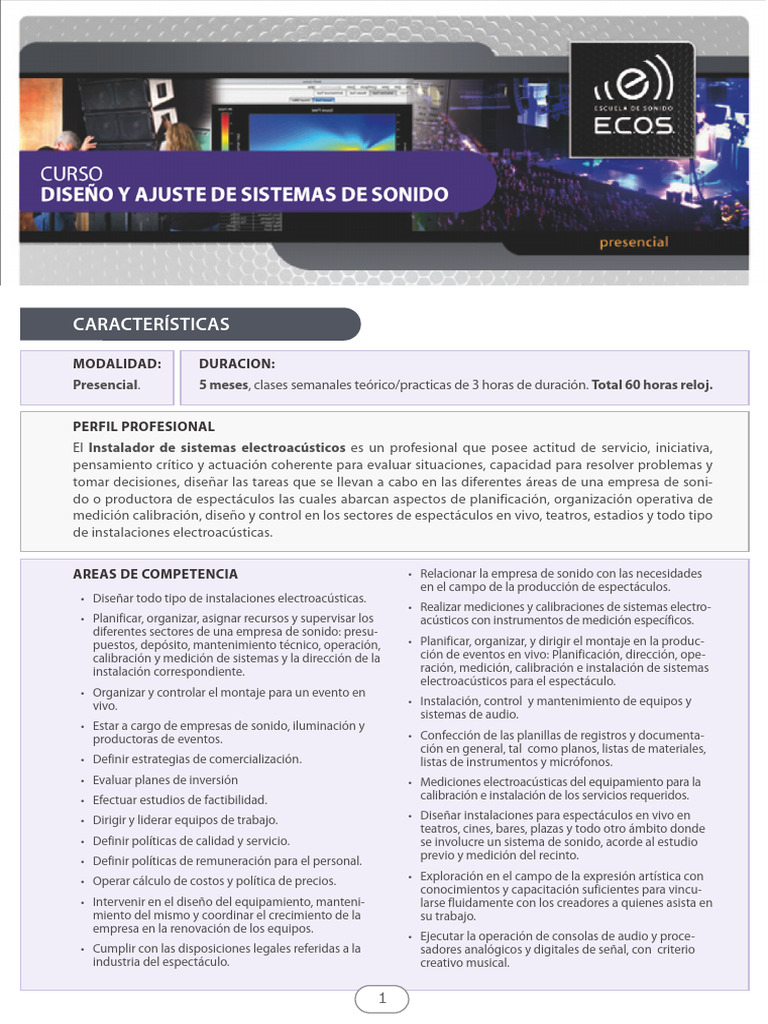 PDF Programa Diseno y Ajuste de Sistemas | PDF