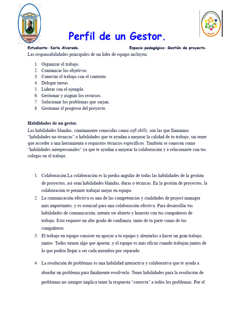 Perfil Del Gestor. | PDF