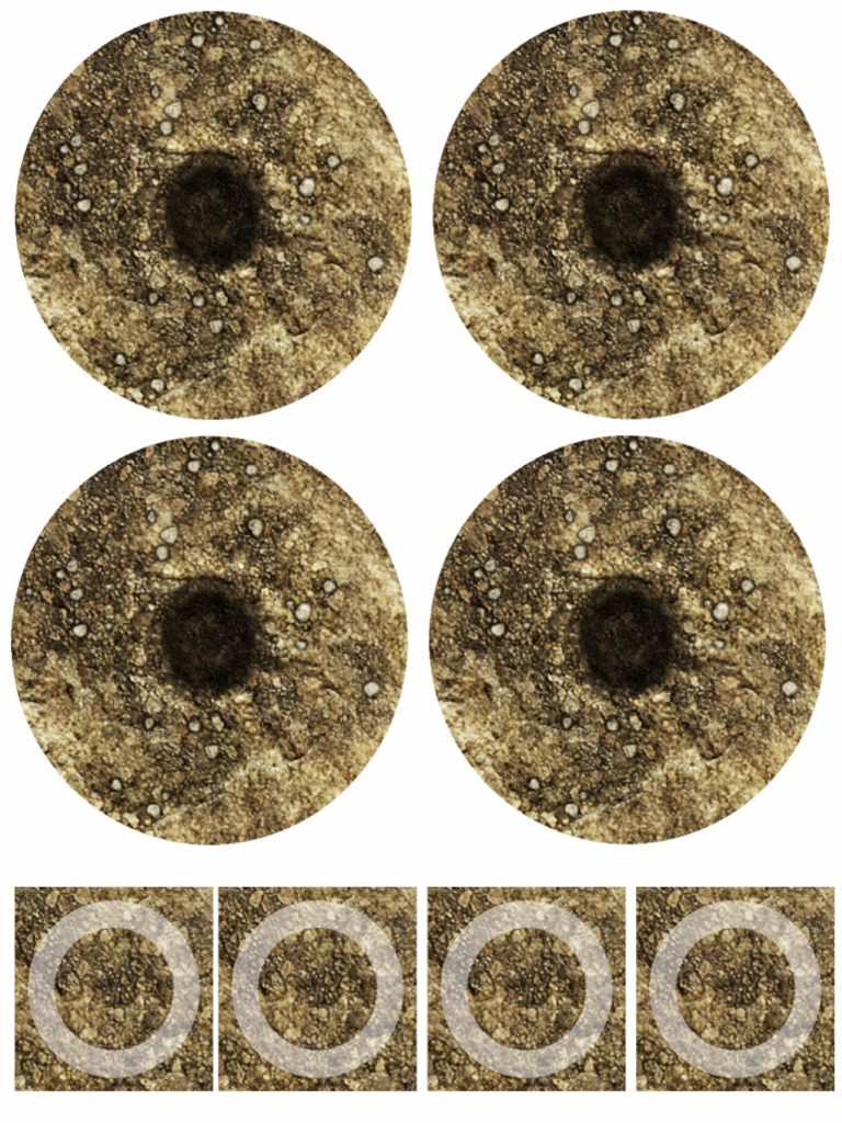 Ginat Spider Holes | PDF