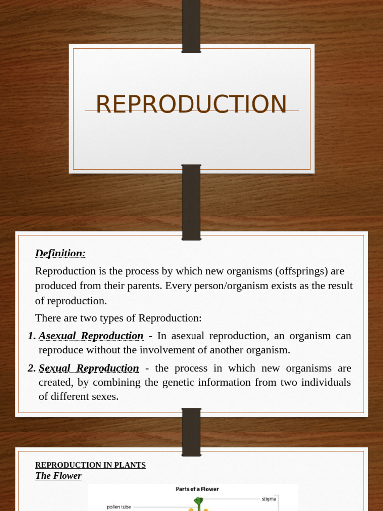 Reproduction in Plants | PDF