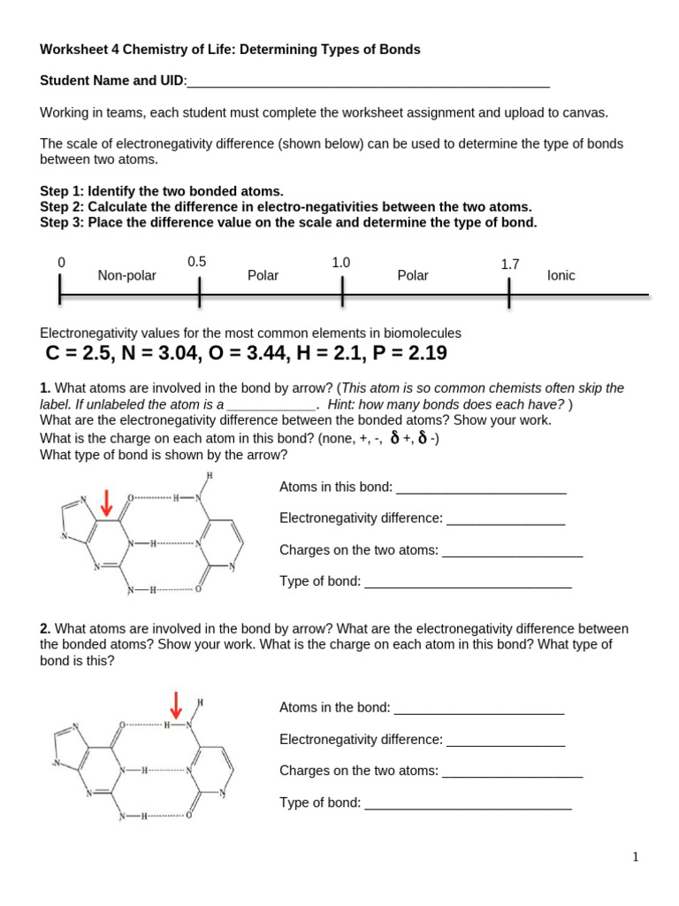 Worksheet 4 Types of Bonds S'24 BIOL 1610 | PDF