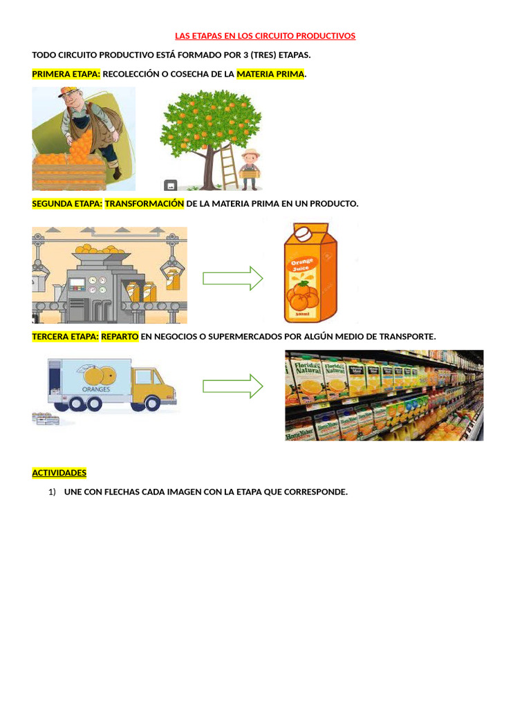 Las Etapas En Los Circuito Productivos Pdf