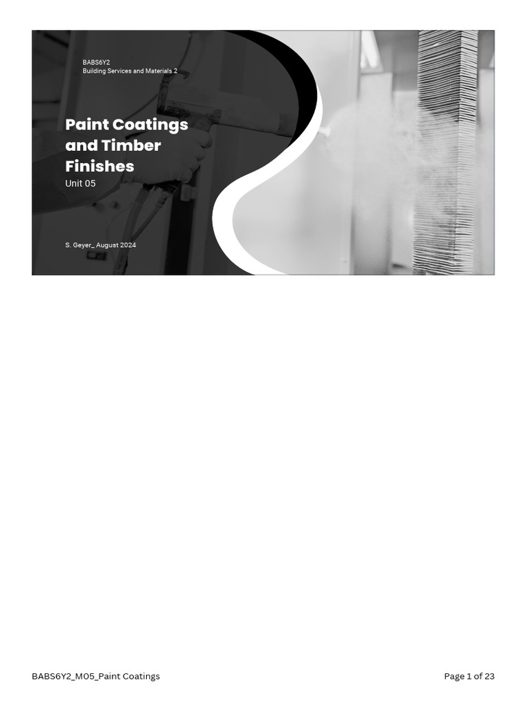 BABS6Y2 M05 Paint Coatings | PDF