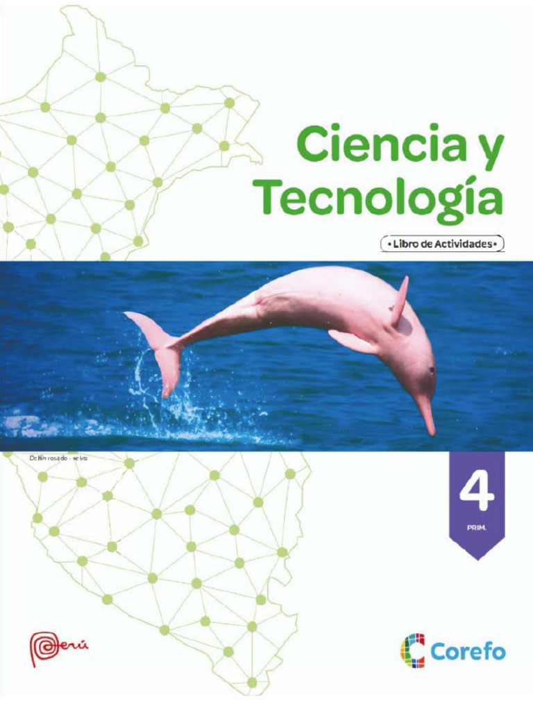 4º Ciencia y Tecnología Actividades | PDF