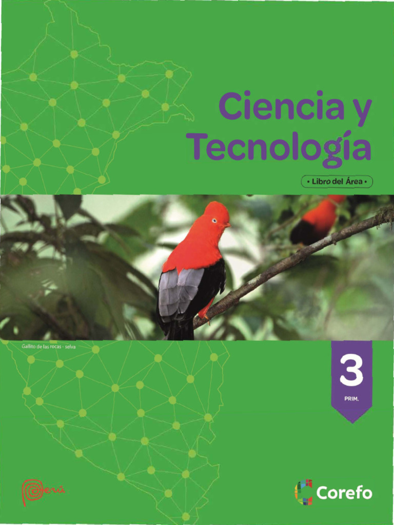 3º Ciencia Area | PDF