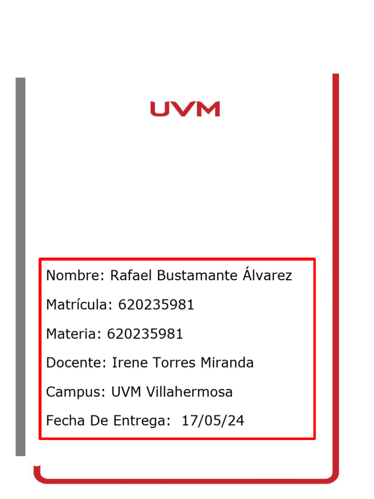 Actividad Digestivo Rutas Meta | PDF