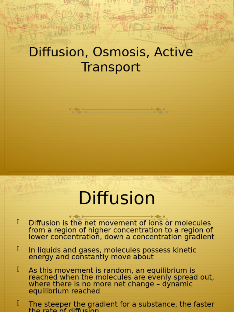Diffusion&Osmosis | PDF