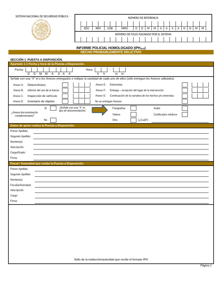 Informe Policial Homologado 2019 | PDF | Grammar | Grammatical Number