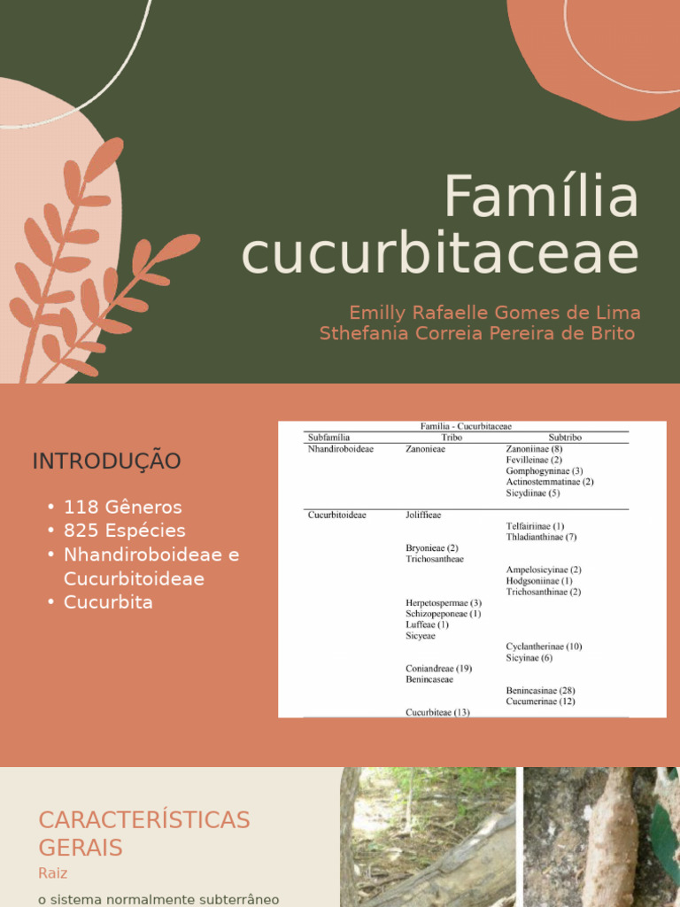 Familia Cucurbitaceae | PDF