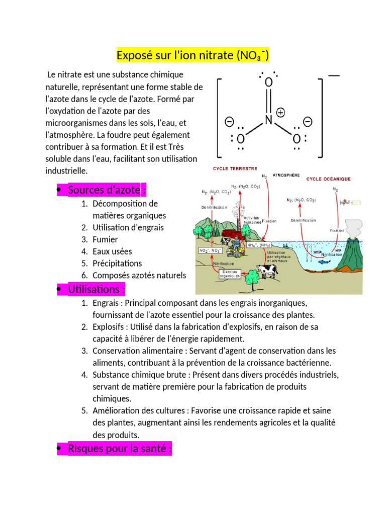 Exposé Sur L'ion Nitrate (NO ) : Sources D'azote | PDF