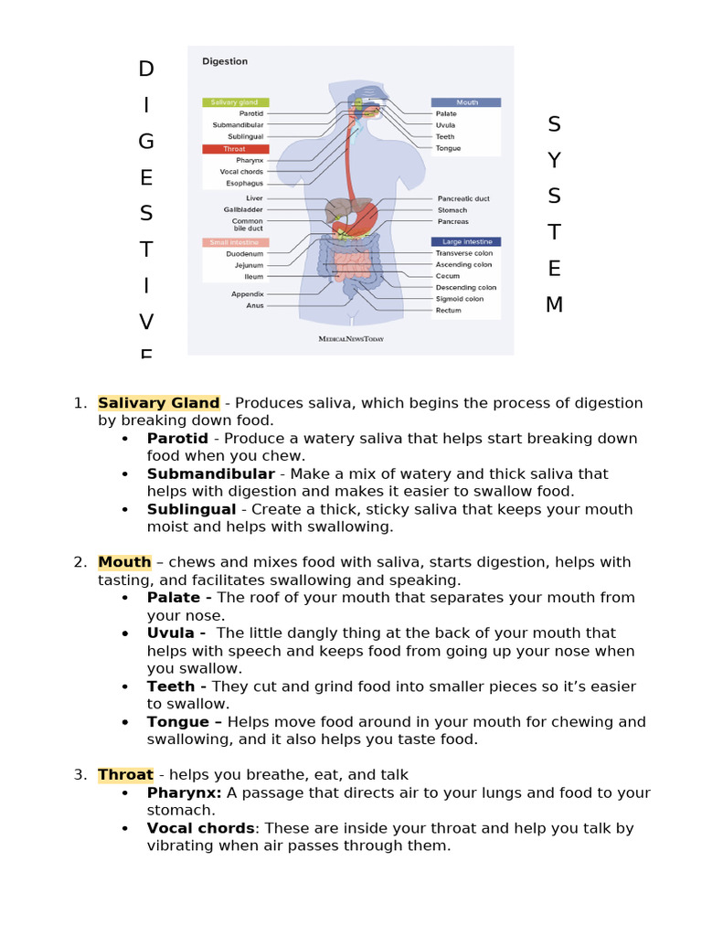 Anatomical Parts and Its Functions | PDF
