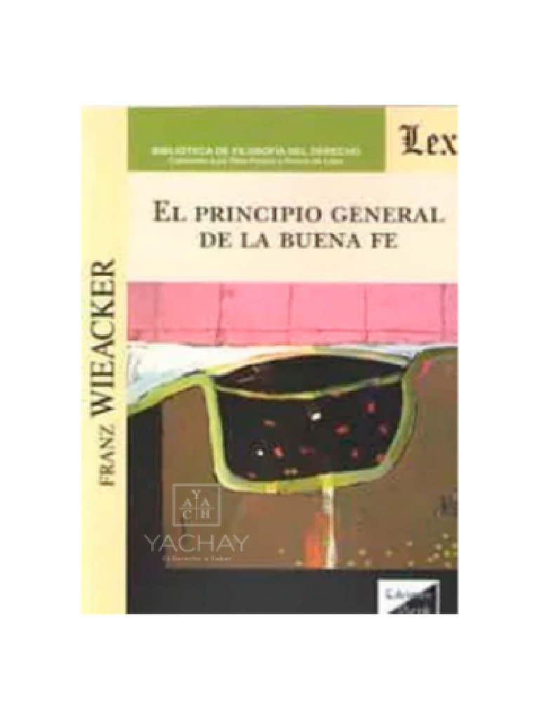 El Principio General de La Buena Fe | PDF
