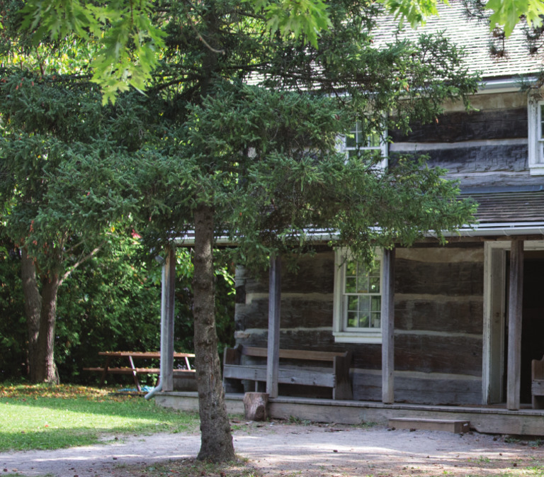 Tree and House | PDF