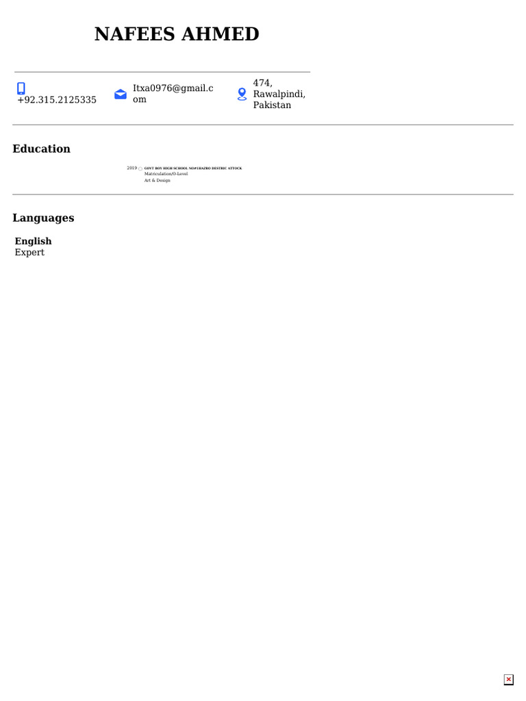 Nafees CV | PDF