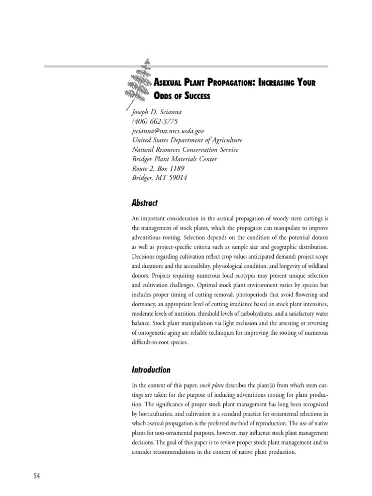 Asexual Plant Propagation Techniques | PDF | Root | Home & Garden