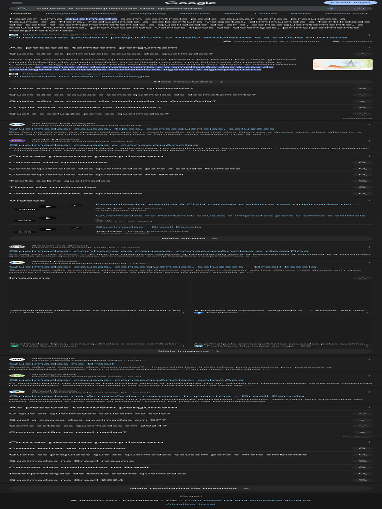 Causas e Consequências Das Queimadas - Pesquisa Google | PDF