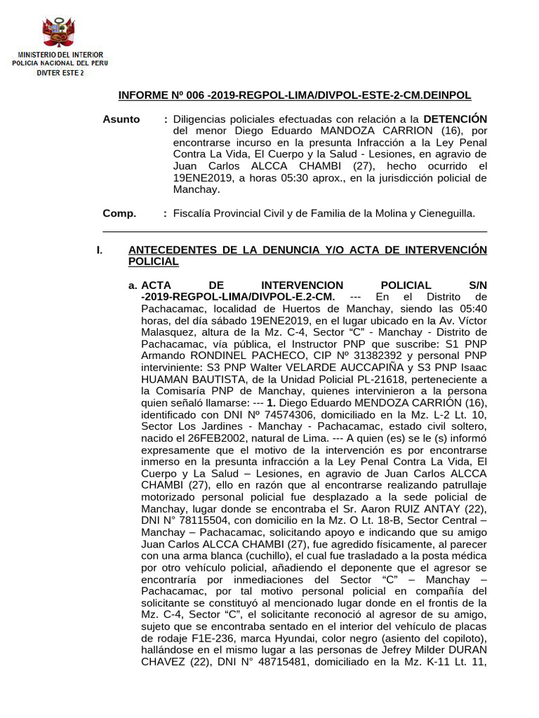 Detenido 006 - Infractor Lesiones | PDF