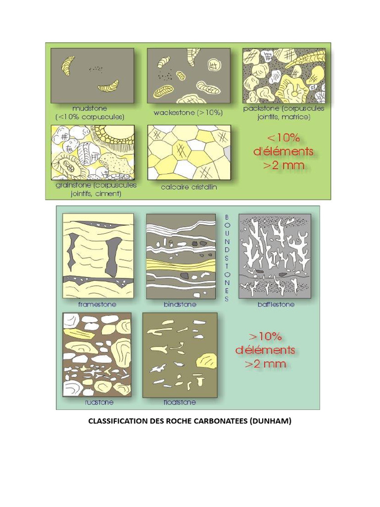 Classification Des Roche Carbonatees (Dunham) | PDF