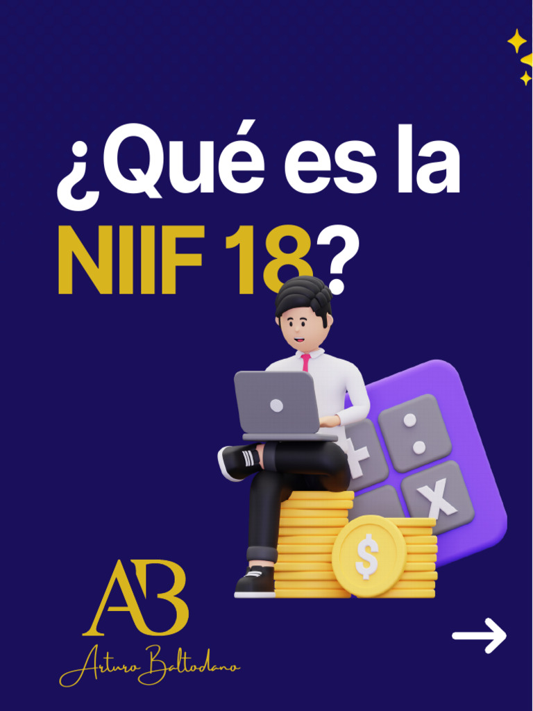 ¿Qué Es La NIIF 18 | PDF