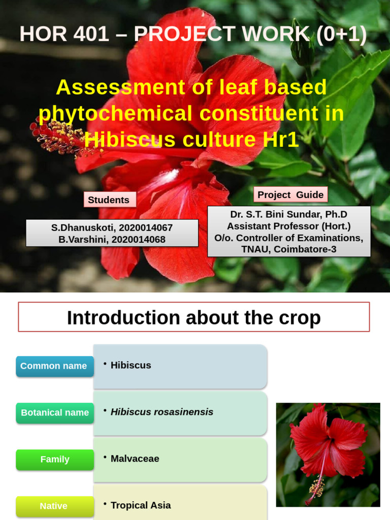 Varshini Hr1ppt | PDF