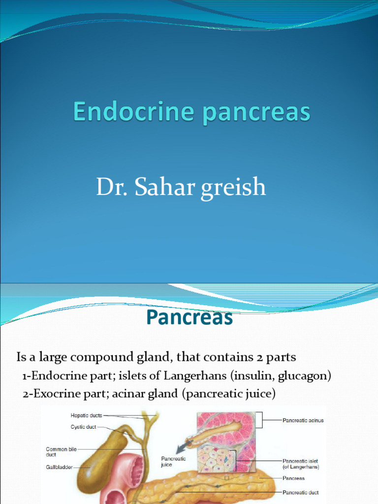 Physio Lec 4 Pancreas | PDF