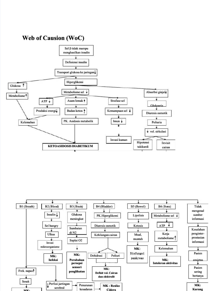 PDF Woc Kad Compress | PDF