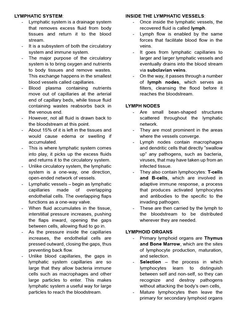 Lymphatic System | PDF