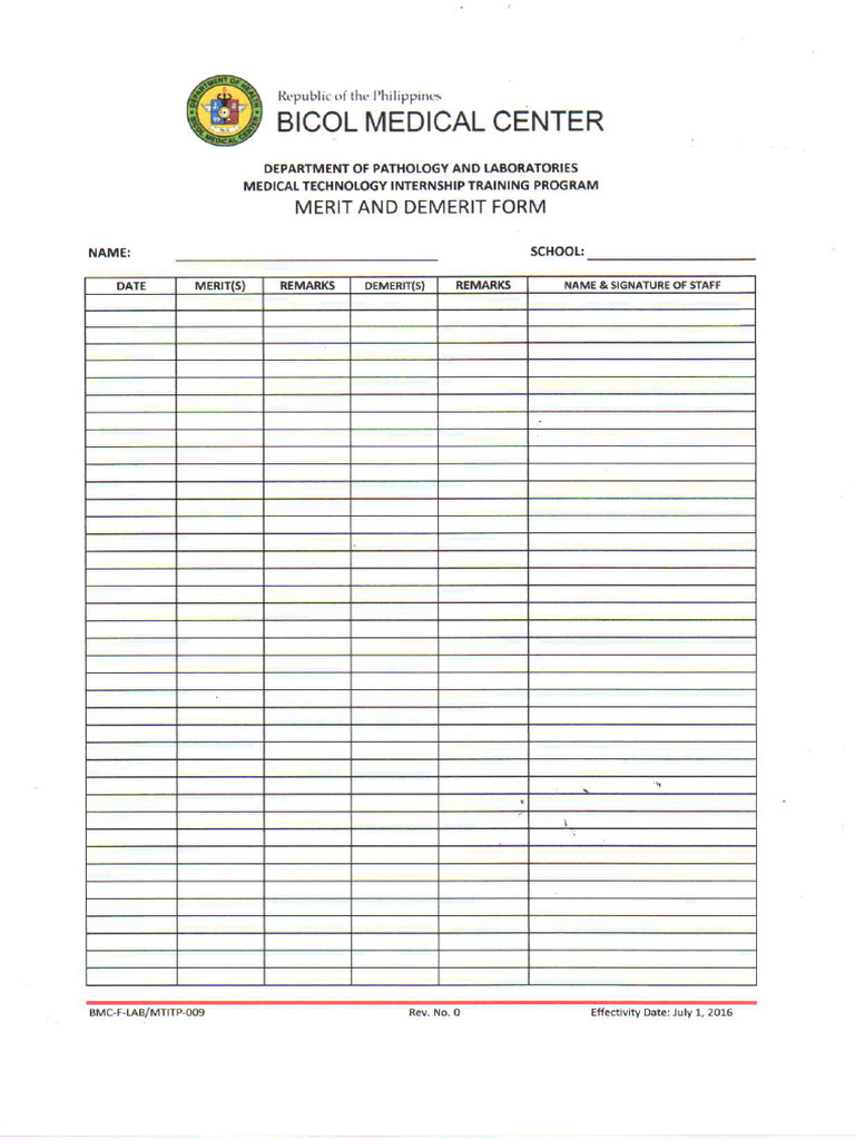 Merit and Demerit Form | PDF