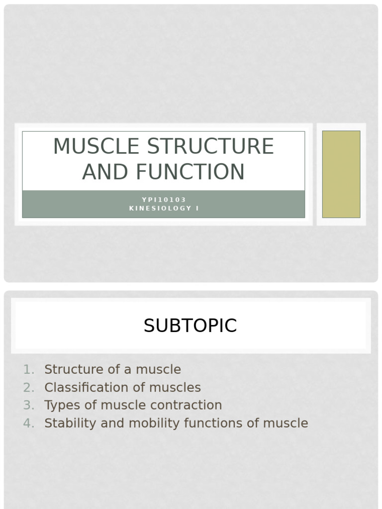 Muscle Structure and Function | PDF